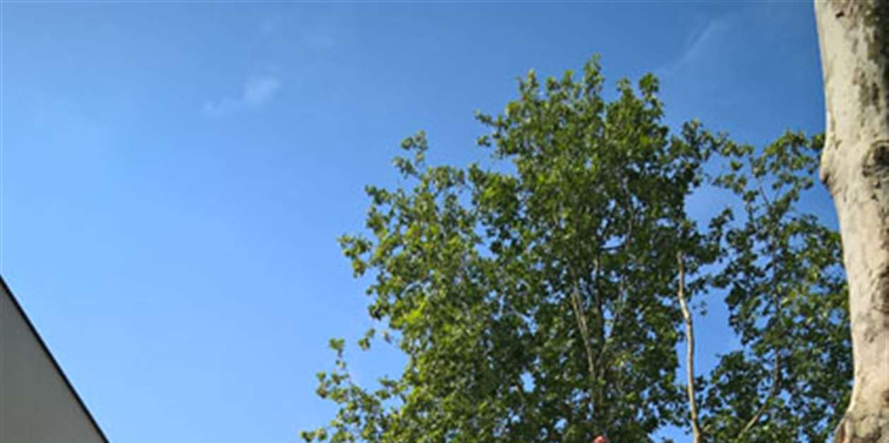 Barbanti landscapes with new Palazzani - International Rental News
